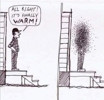 Best Funny bugs Memes - 9GAG