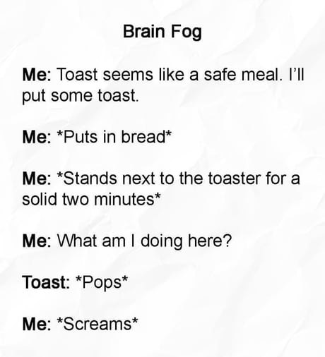 Best Funny toast Memes - 9GAG