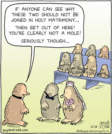 Best Funny mole Memes - 9GAG