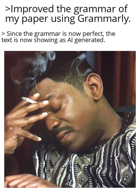 Best Funny grammarly Memes - 9GAG