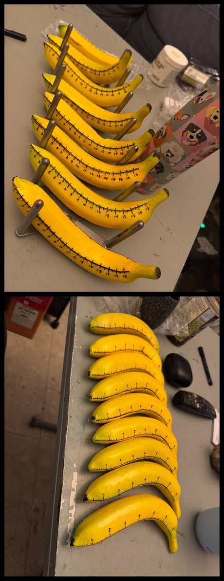 Best Funny absolute units Memes - 9GAG