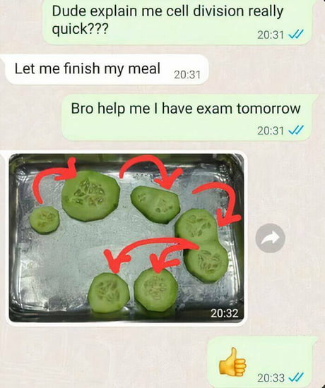 Best Funny cell Memes - 9GAG