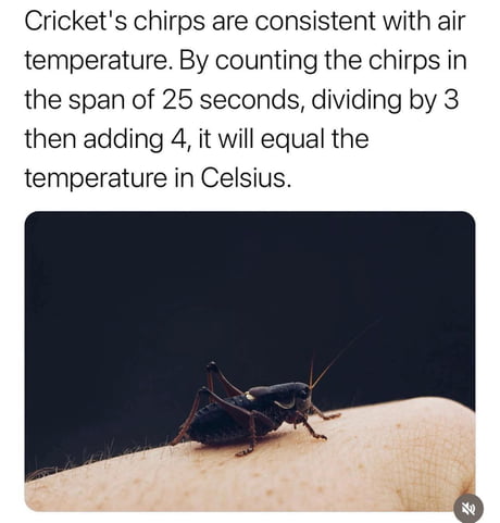 Best Funny cricket Memes - 9GAG