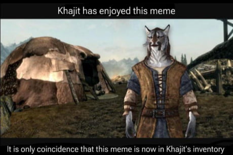 Best Funny khajiit Memes - 9GAG