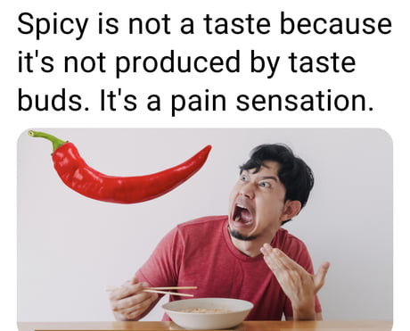 Best Funny recipe Memes - 9GAG