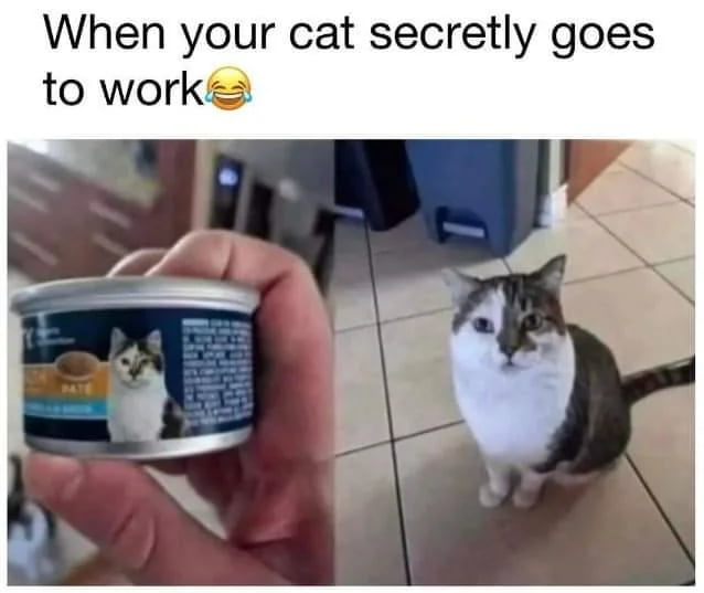 He still does not realize - 9GAG