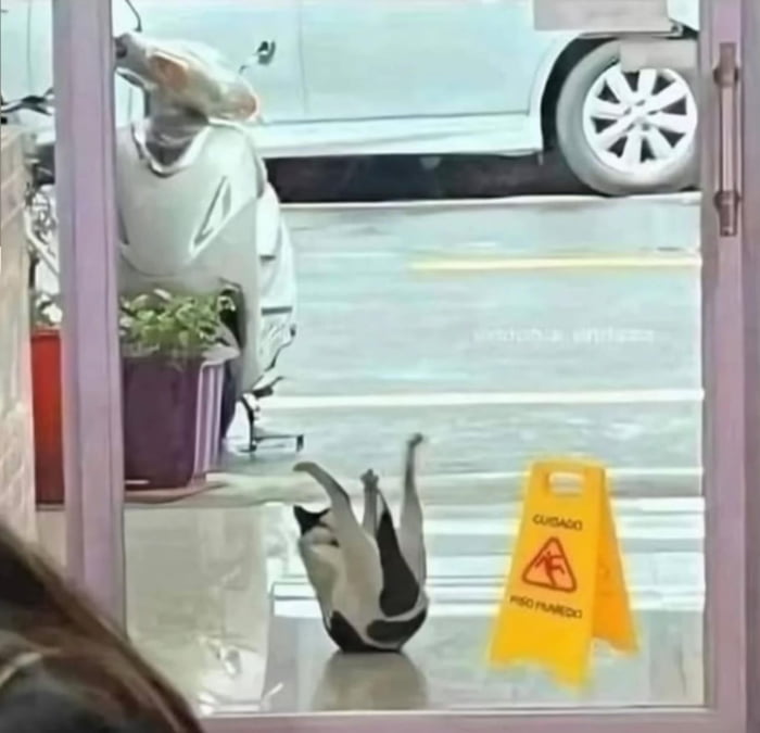 Slippery when wet - 9GAG