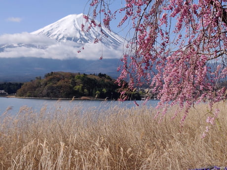 Best Funny mount fuji Memes - 9GAG