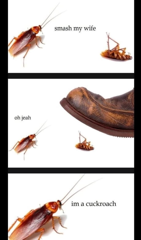 Best Funny ntr Memes - 9GAG