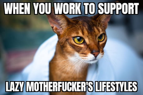 Best Funny entitlement Memes - 9GAG