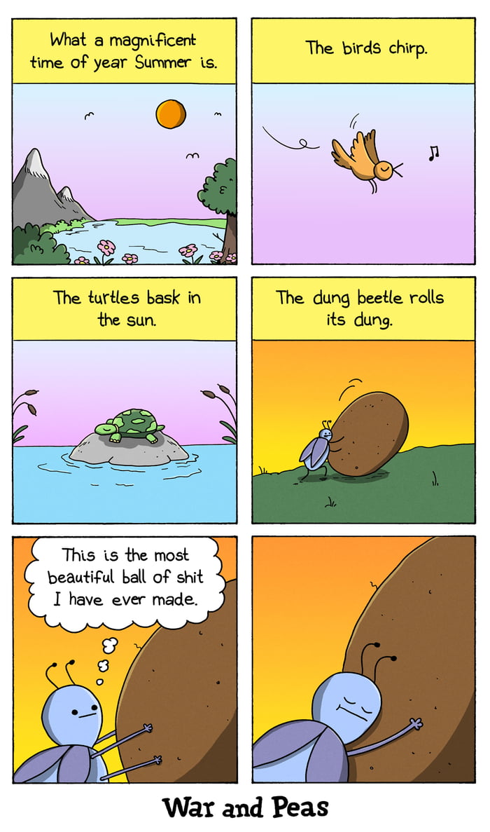 Beautiful Summer - 9GAG