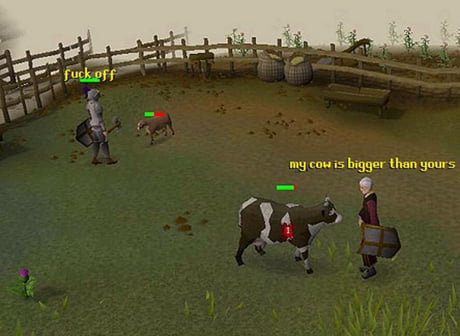 Best Funny osrs Memes - 9GAG