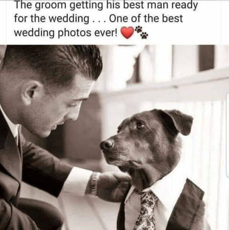 Best Funny wedding Memes - 9GAG