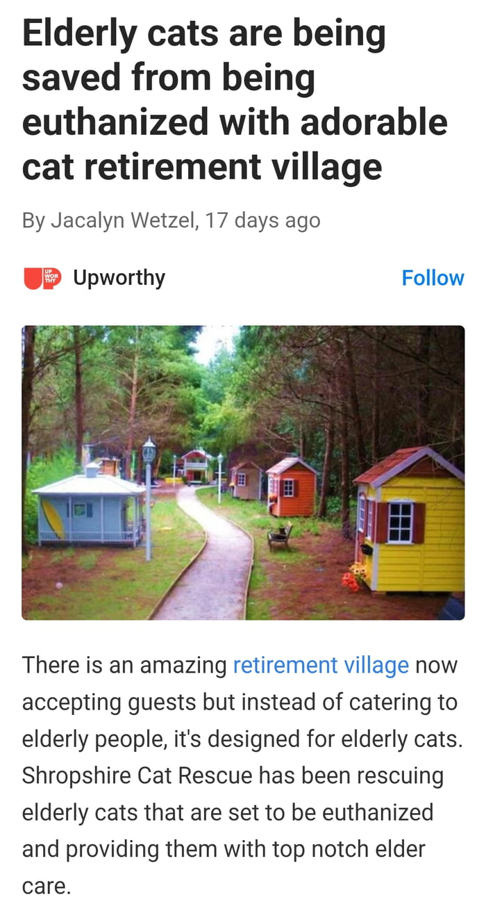 If I win the lottery, there will be signs... - 9GAG