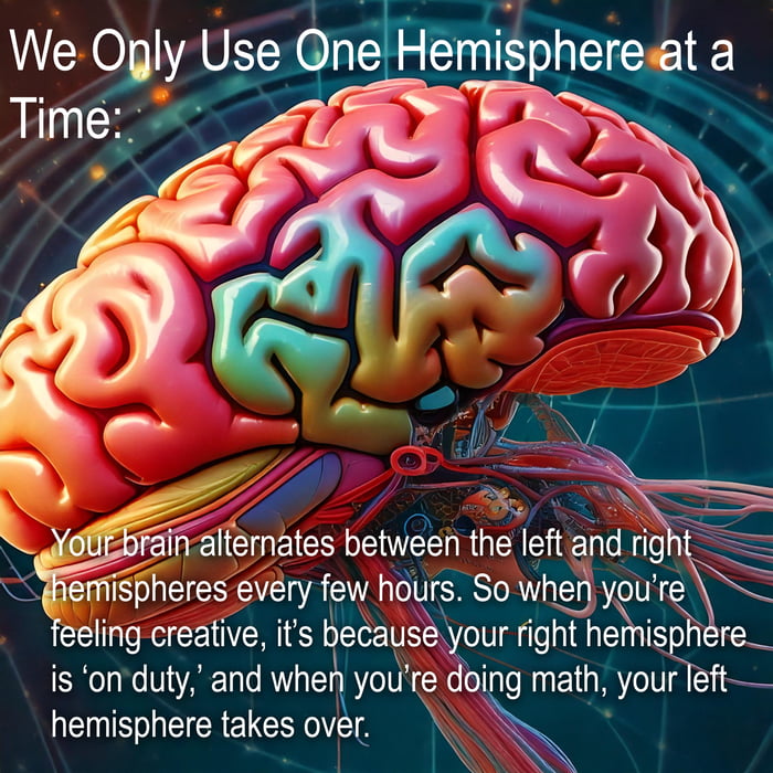 Interesting facts about the brain #5 - 9GAG