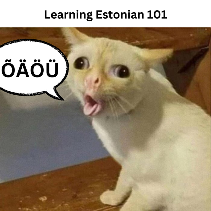 What it feels like after studing estonian for a week - 9GAG