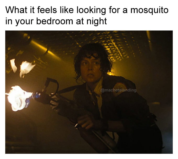 Posting memes I found on my smartphone until I get bored or die #271 - 9GAG