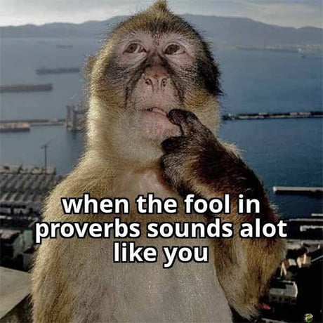 9gag Monkey Memes Nosacz Monkey Memes Imgflip