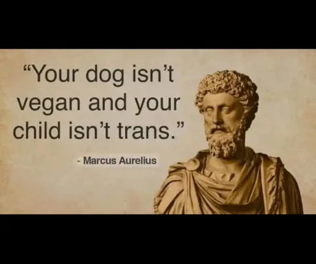 I keep adding memes about the Roman Empire until I get bored or die ...