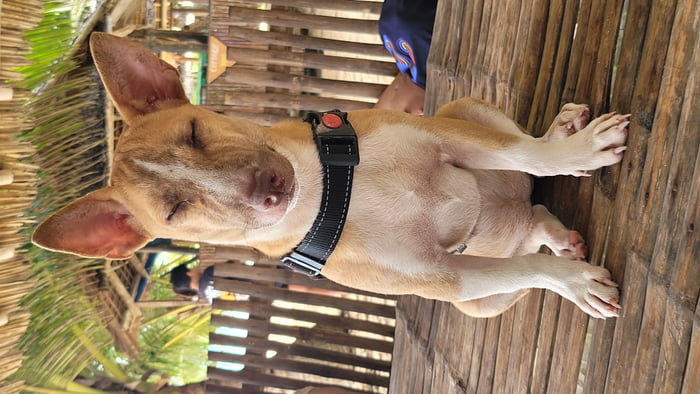 Look at this island boi - 9GAG