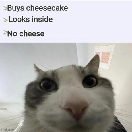 Best Funny cheesecake Memes - 9GAG