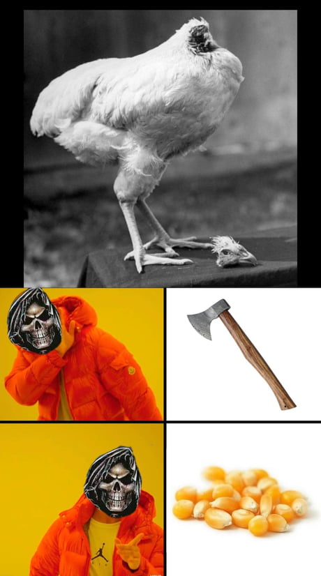 Best Funny mike the headless chicken Memes - 9GAG