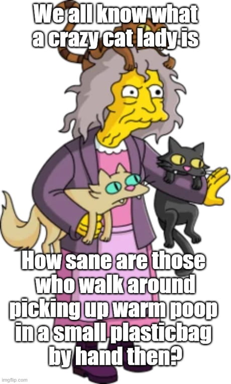 Crazy Cat Lady Simpsons Meme