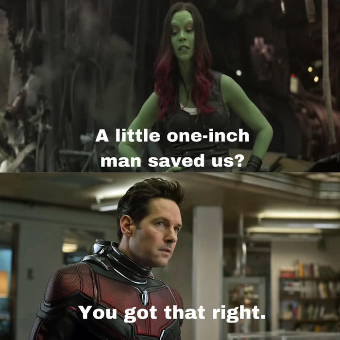 Gamora (original self)’s comment on Ant Man being the one that it made ...