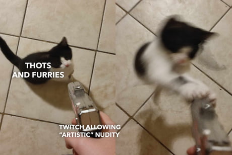 Best Funny twitch Memes - 9GAG