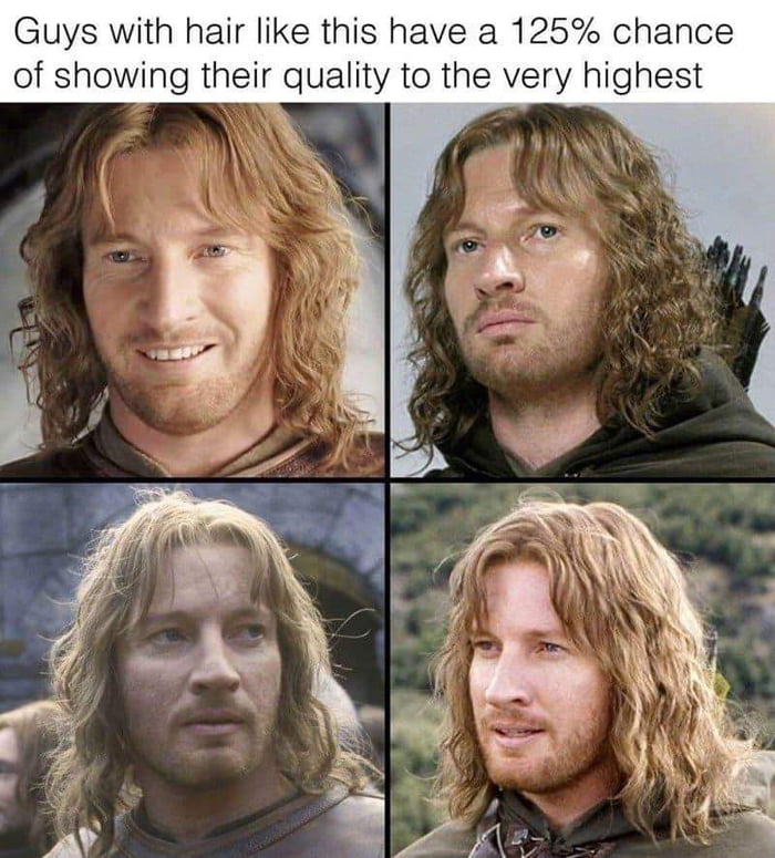 Boromir would have shown 250% quality - 9GAG