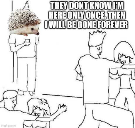 Best Funny carl Memes - 9GAG