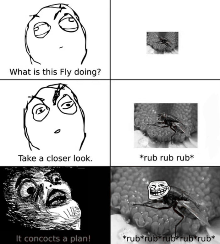 Keep your eyes open my friends - 9GAG