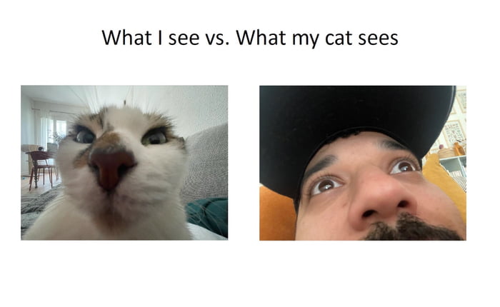 What I see vs. What my cat sees - 9GAG