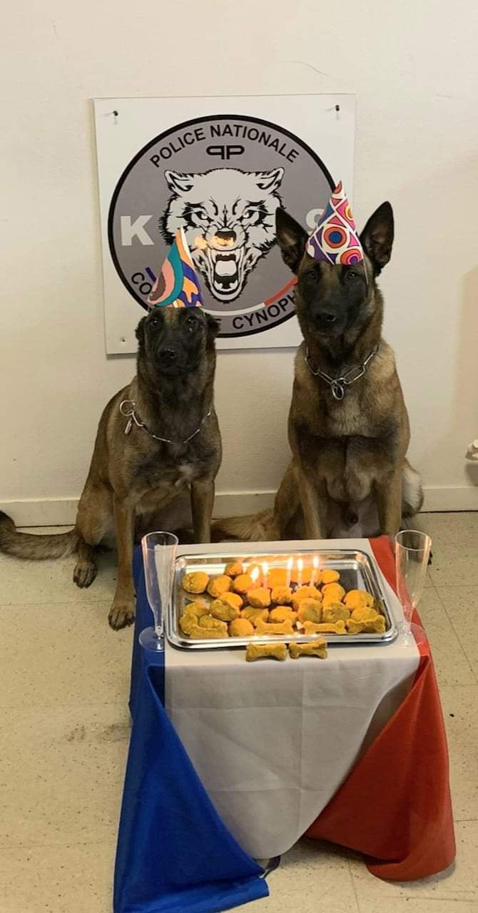 French Police wishing a good birthday to those 2 good boys - 9GAG