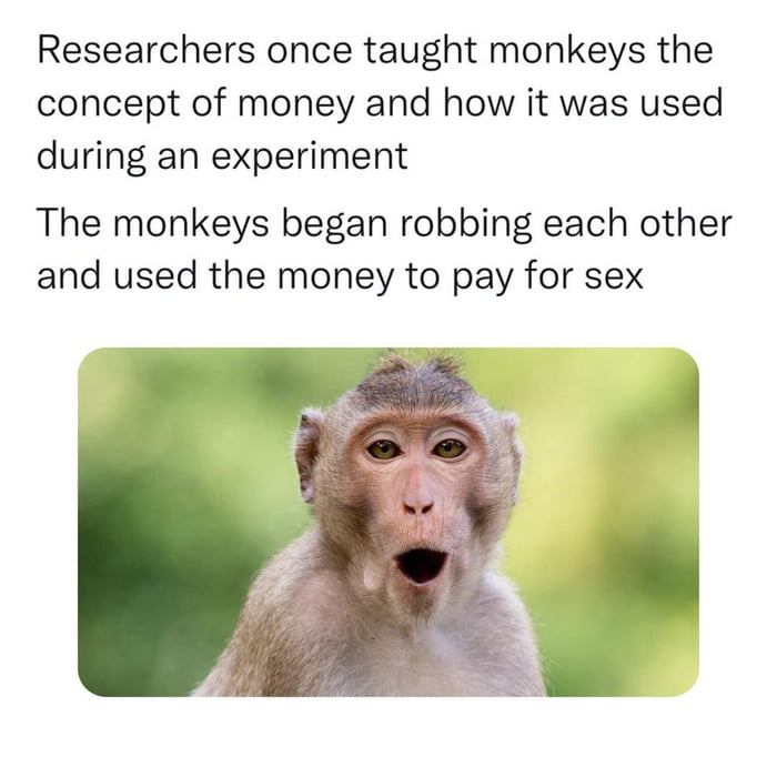 Cheeky buggers - 9GAG