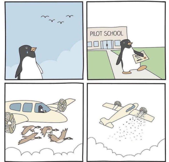 It's a bird, it's a plane it's both - 9GAG