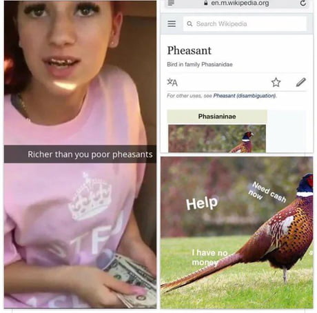 Best Funny pls halp Memes - 9GAG