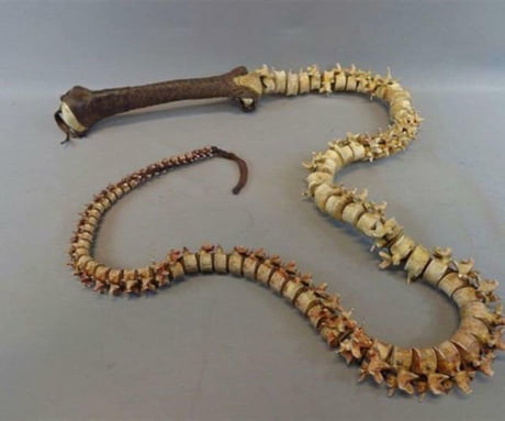 A whip made from two real human spines discovered in the basement of an ...