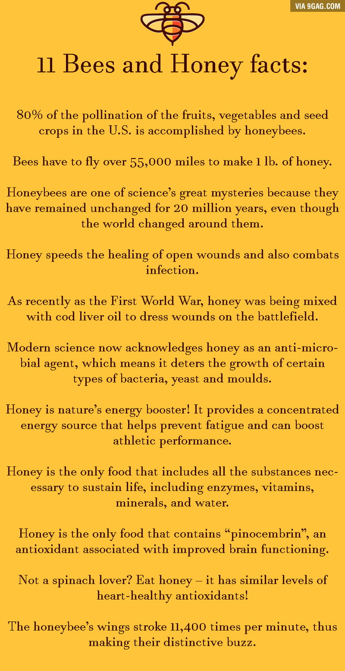 11 Bees and Honey facts you probably didn't know! - 9GAG