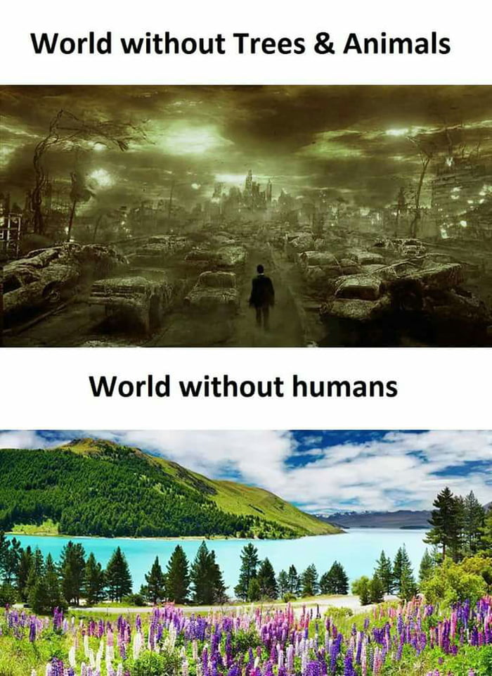 World without humans: then who made the road? - 9GAG