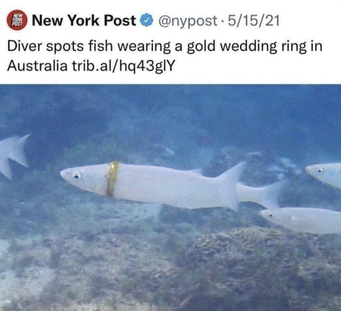 Dont worry anons. There's plenty more fish in the... oh wait even this ...