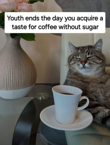 Best Funny sugar Memes - 9GAG
