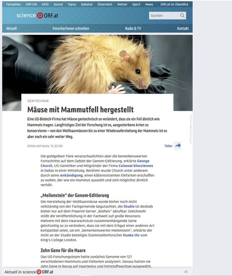 Best Funny mammoth Memes - 9GAG