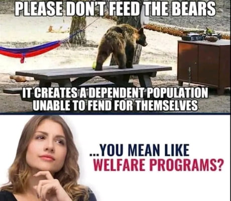 Memes On Welfare Welfare Memes & GIFs Imgflip
