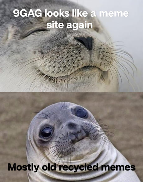 Inappropriate Seal Memes
