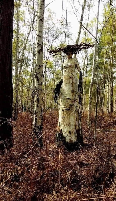 Best Funny tree Memes - 9GAG