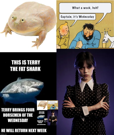 Best Funny tintin Memes - 9GAG