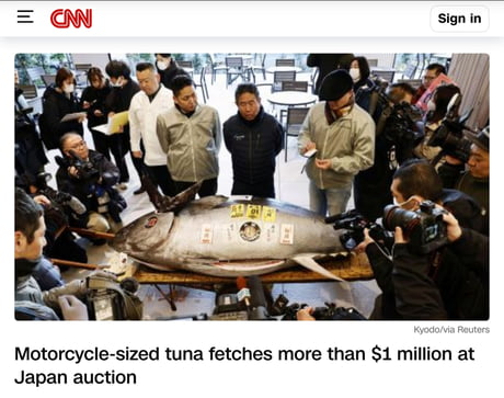 Best Funny tuna Memes - 9GAG