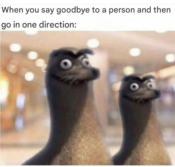 Uncomfortable level 100 - 9GAG