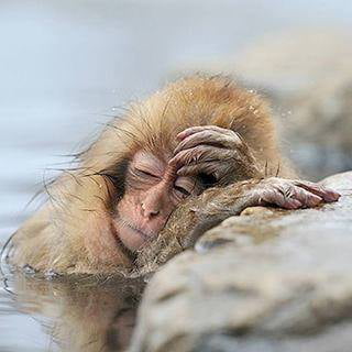 Best Funny headache Memes - 9GAG